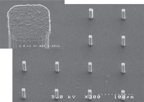 Figure 1 From Nano Diamond Ridge Structure Emission Arrays Capped On Micro Patterned Silicon