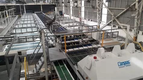 Compac Lines Complete Sorting Line