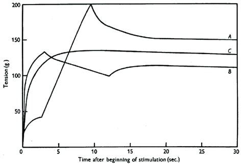 Residual Force Enhancement And Residual Force Depression [5] Force Was