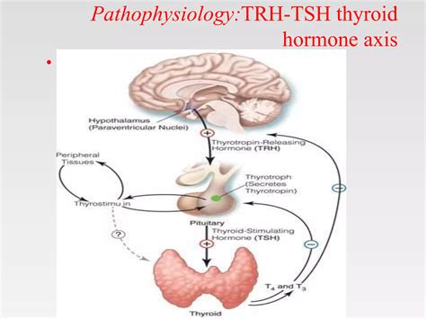 Goiter Defination Pathogenesisclassificationpptx