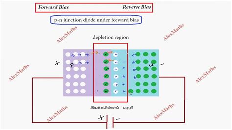 Forward And Reverse Bias Circuit Diagram