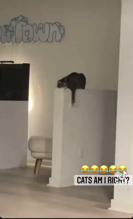 Imgur Asking Me Every Fucking Time When I Highlight Something For Me Album On Imgur