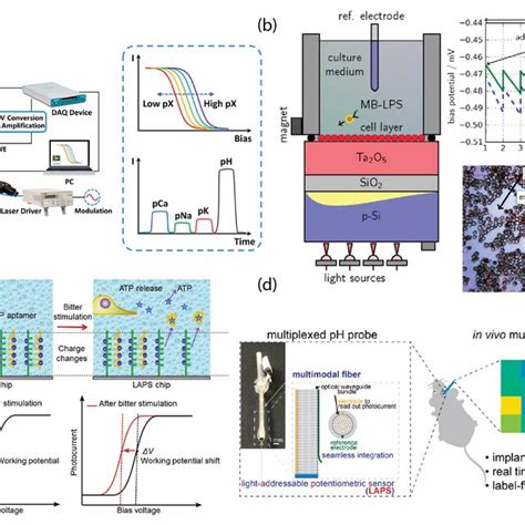 Biochemical Applications Of The Light Addressable Potentiometric Sensor Download Scientific
