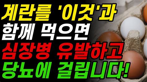 계란과 절대로 같이 먹지마세요 심장병과 당뇨에 걸릴 수 있습니다 계란과 최악의 궁합 3가지 음식과 최고의 궁합 3가지 음식 계란 효능 건강 정보 Youtube