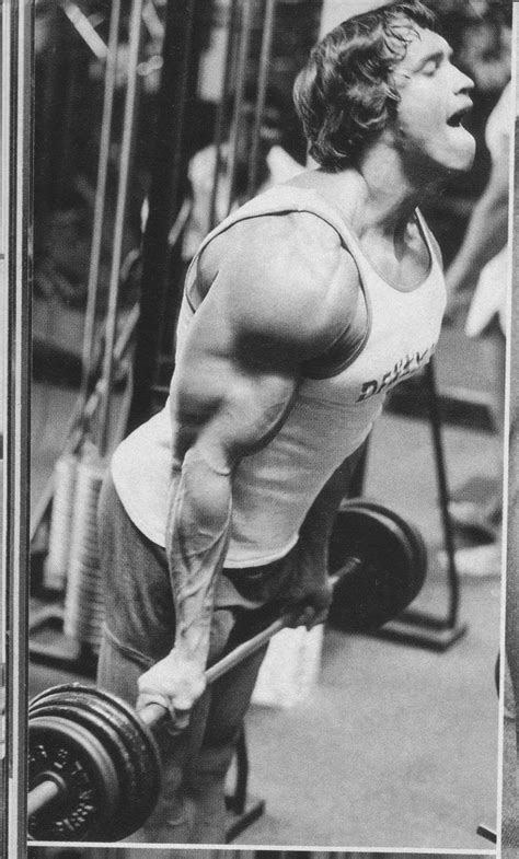 Dumbbell Concentration Curls Arnold