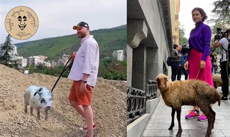 სიგიჟე 🙈🤦‍♂️🤣 ნაცების დასაცინი ოფიციალური სააგენტო