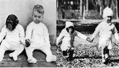 凯洛格黑猩猩实验 知乎