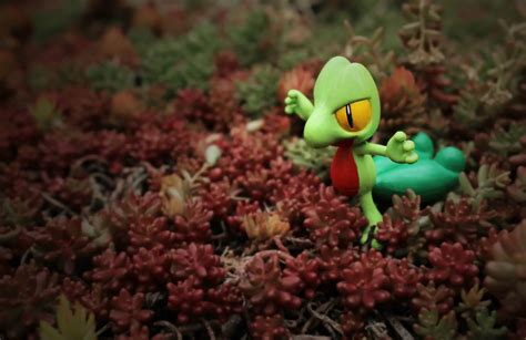 Pokemon In Real Life Settings Part Two • Aipt