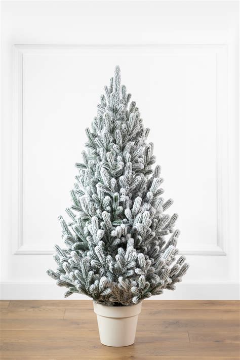 Ялинка лита Віденська в горщику ЗАСНІЖЕНА 1 10м фото отзывы характеристики в интернет