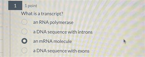Solved PointWhat Is A Transcript An RNA Polymerasea DNA Chegg Com