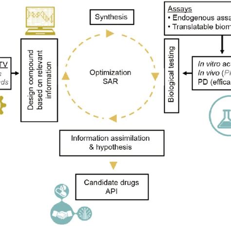 Identification Of Api Through Lead Optimization Cycle Fitting The Car