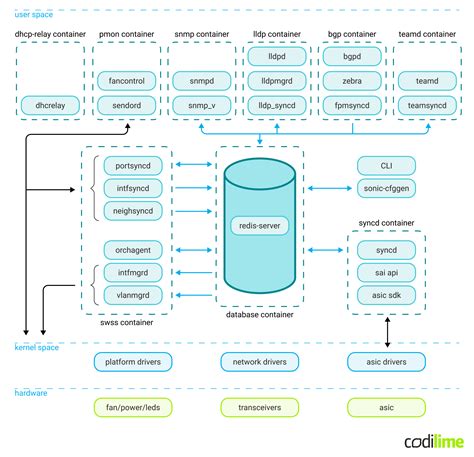 Developing Custom Network Functionality Using Sonic Codilime