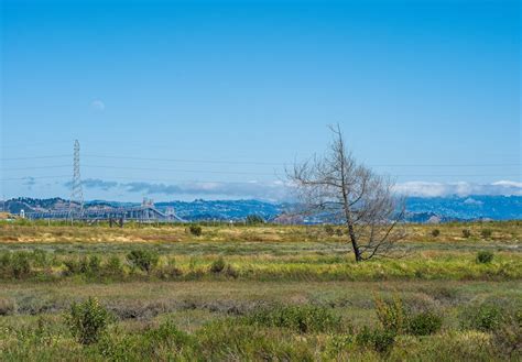 경치 경치가 좋은 계절 고독 고요한 광대 광야 구름 나무 낮 녹지 농지 농촌 풍경 농촌의 다리 단순한 들판 맑은 하늘 맨몸의 먼 목가적인