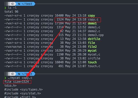 【linux】c语言系统函数实现cat命令 c语言代码获取cat csdn博客