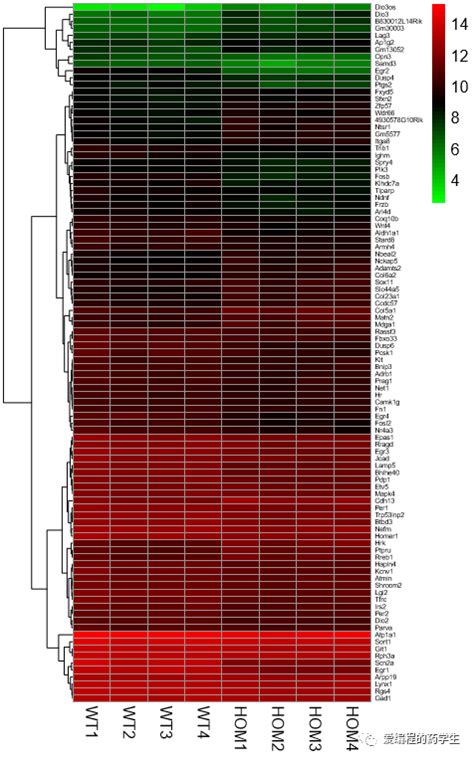 语言绘制基因表达热图r语言绘制基因表达热图（简易版） Csdn博客