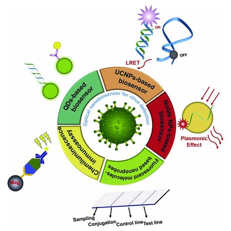 Schematic Diagram Of Optical Nanobiosensors Used To Detect Pathogenic Download Scientific
