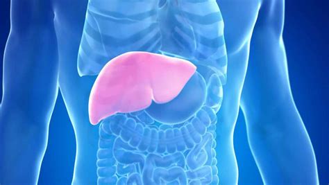 Understanding Cholangitis Symptoms And Treatment