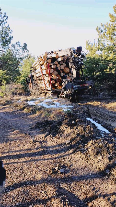 Сигнал за незаконен транспорт Защити Гората