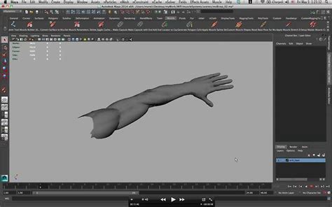 Maya Muscle Spline Deformer Tutorial Artofit