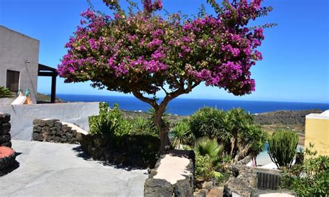 Pantelleria Dove Si Trova E Come Raggiungerla Eden Viaggi