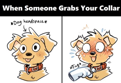 Furry🐉irl Rfurryirl