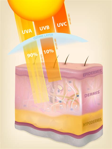 What You Should Know About Uv Rays