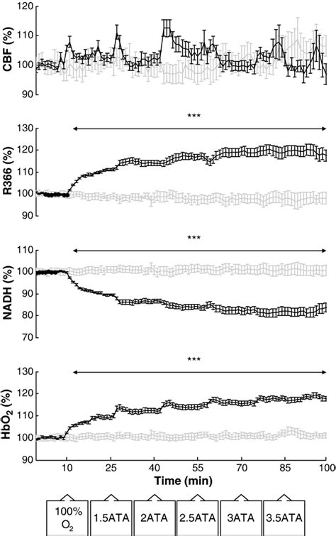 Figure 2 From Effect Of Hyperbaric Oxygenation On Brain Hemodynamics