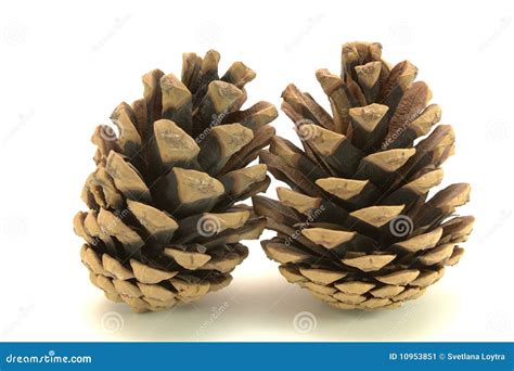 Two Cone Isolated Stock Image Image Of Backgrounds December 10953851