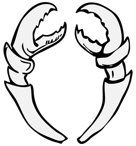 Claw Traceable Heraldic Art