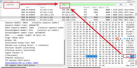 流量分析总结（实战流量分、webshell混淆流量分析、tls流量分析、[inshack2019]passthru） csdn博客