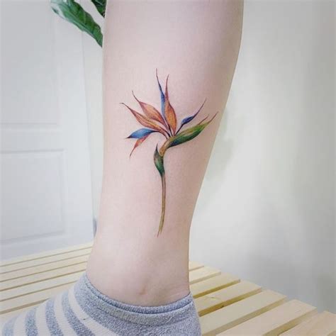 15 Best Plumeria Tattoos That Could Be Good Fit For You