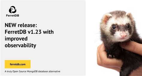 ferretdb on linkedin ferretdb releases v1 23 0 with improved