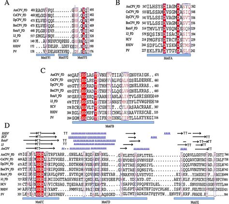 Alignment In The Regions Of Six Conserved Motifs Af Extracted From Download Scientific