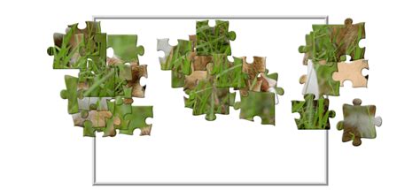 I M A Puzzle HTML5 Game Development