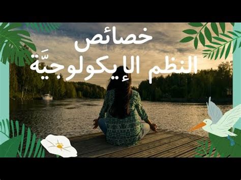 النظام الايكولوجى خصائص النظم الايكولوجية علوم البيئة جيولوجيا