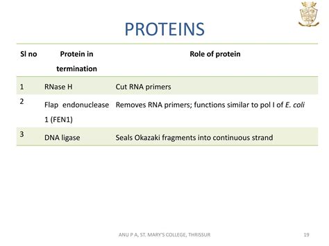 Replication In Eukaryotes Ppt