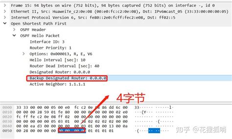 Ospfv3报文格式 知乎