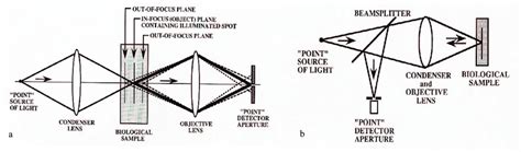 1 Confocal Microscope Components Download Scientific Diagram