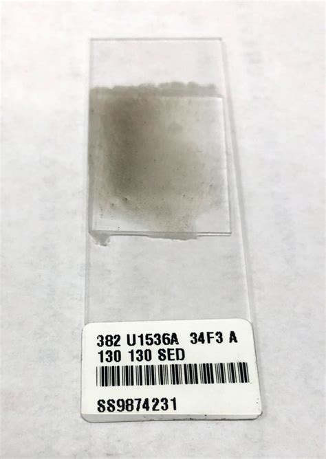 What Can We Learn From A Smear Slide JOIDES Resolution