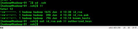 大数据学习hadoop之hdfs基础使用追风邵的博客 Csdn博客hadoop Hdfs 密码
