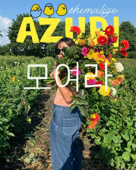 아우스빌둥go 안녕하세요 아우스빌둥go입니다 저희가 있는 뒤셀도르프쾰른 등지는 꽤나 더운 날들이 계속되네요 어디에 계시든 몸관리에 유념하시길 바랍니다 오늘은