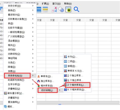 Ibm Spss Statistics中怎样进行两配对样本的非参数检验 Ibm Spss Statistics 中文网站
