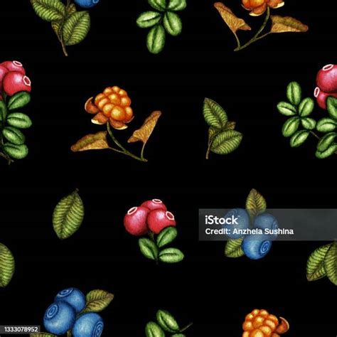 야생 숲 열매 수채화 원활한 패턴 클라우드 베리 빌베리 블루 베리 카우베리 잎과 다양한 가을 계절 베리 빈티지 프린트를 위한 핸드 그린 블랙 백 Cloudberry에 대한