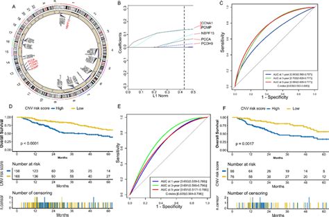 Construction And Validation Of The Cnv Model A Circos Plot Shows Download Scientific Diagram