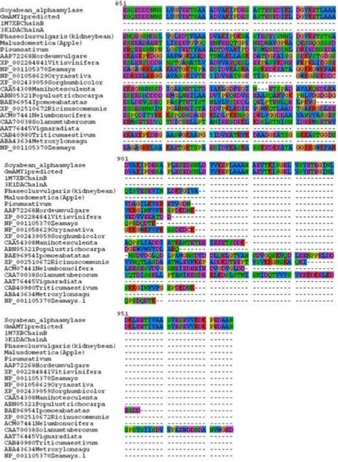 Sequence Alignment Of Soybean Amylase With Predicted Amylase And With