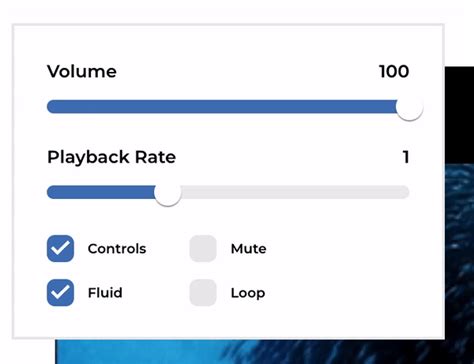 small bug with checkboxes in the player controls · issue 161 · videojs · github