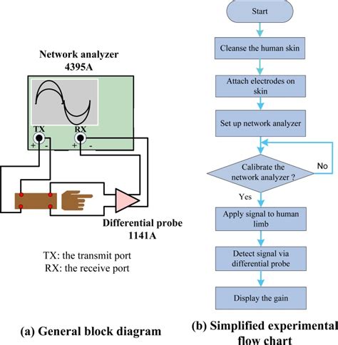 In Vivo IBC Channel Gain Experiment A General Block Diagram And B Download Scientific