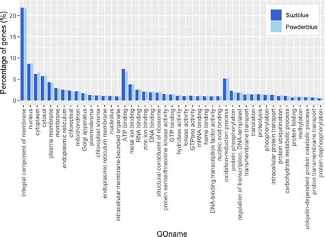 Gene Ontology Annotation Of The Fruit Transcriptomes For ‘suziblue Download Scientific Diagram
