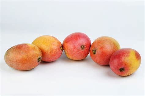 Riped Mango Fruit On White Background Stock Image Image Of Nutrition