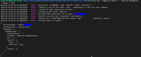 Trivy Crashes In Some Region When Scanning Service Workspaces · Issue 3419 · Aquasecurity